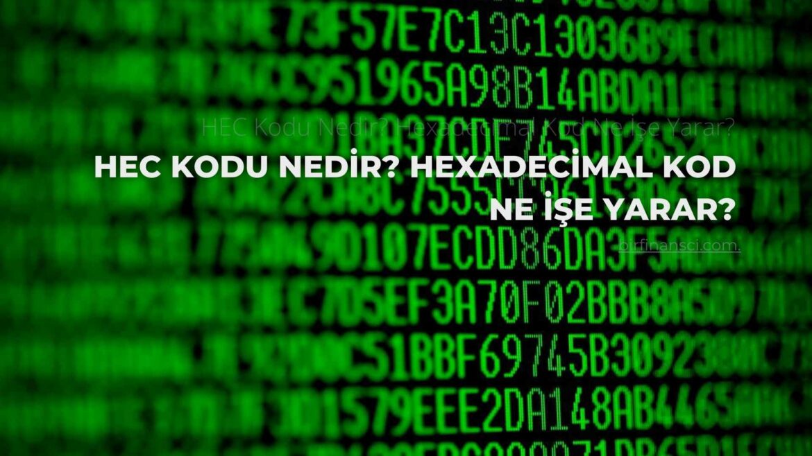 HEC Kodu Nedir? Hexadecimal Kod Ne İşe Yarar? - Bir Finansçı